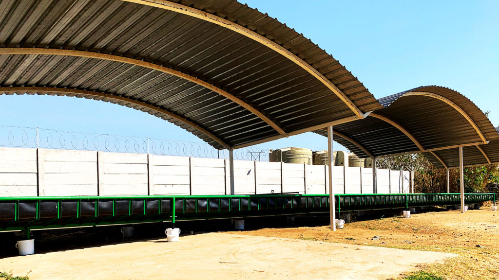 Delta-Waste_Blog_Lanseria-International-Airport-LIA-aiming-for-Net-Zero ...